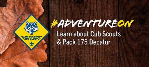 Cub Scouts in Decatur - Pack 175 Cub Scouts, Decatur, GA